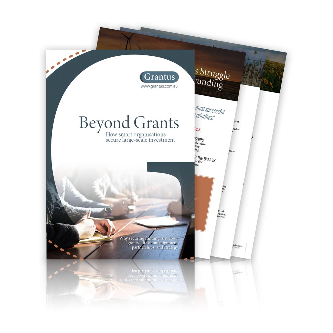 Grantus - Government Advisory Services